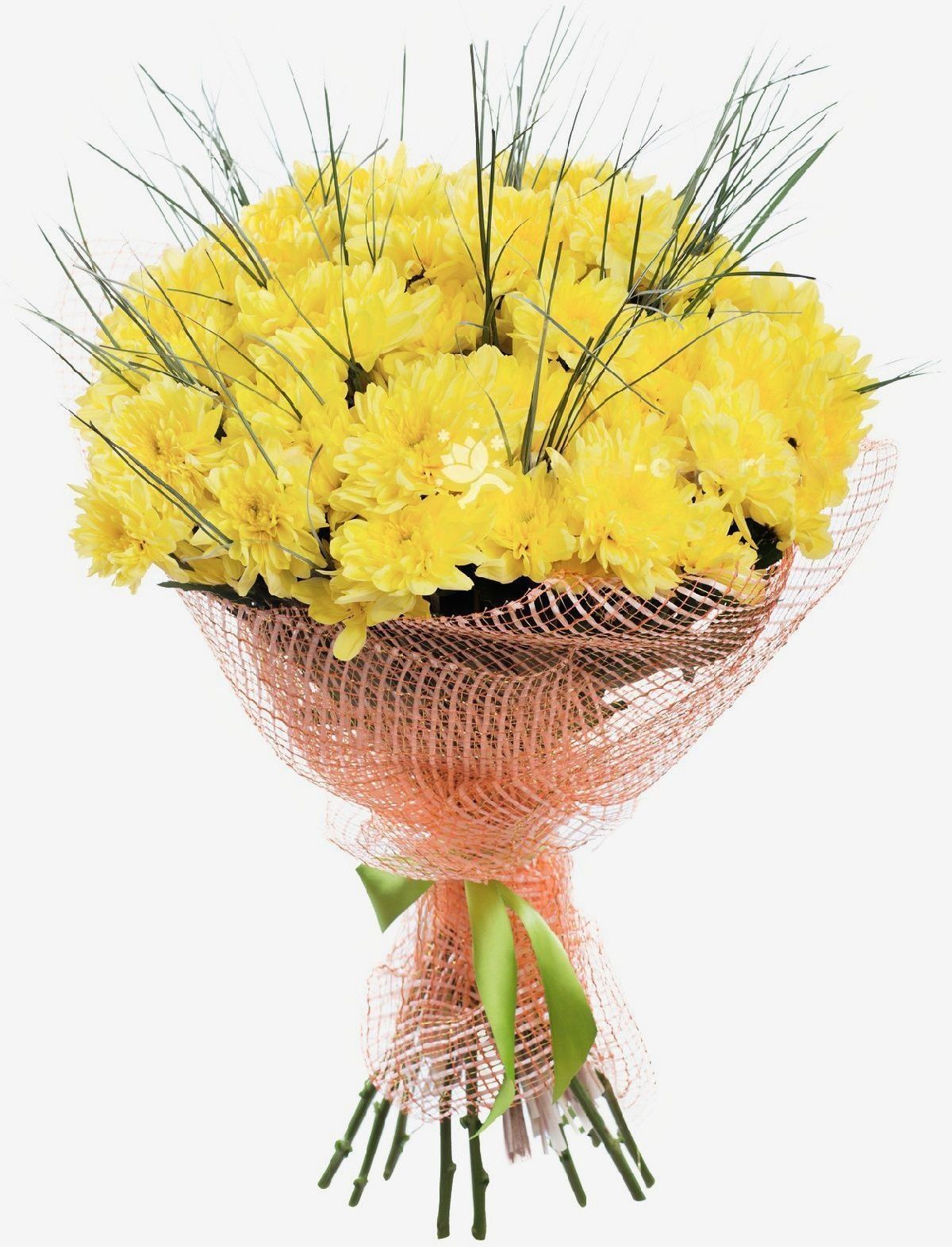 Welcoming Flowers | My Express Flowers